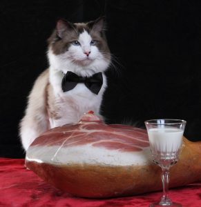 Can Cats Eat Ham? - Friendly Claws