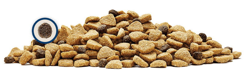 Blue Buffalo Cat Food Reviews (2019): Making Sure Fluffy Eats Well