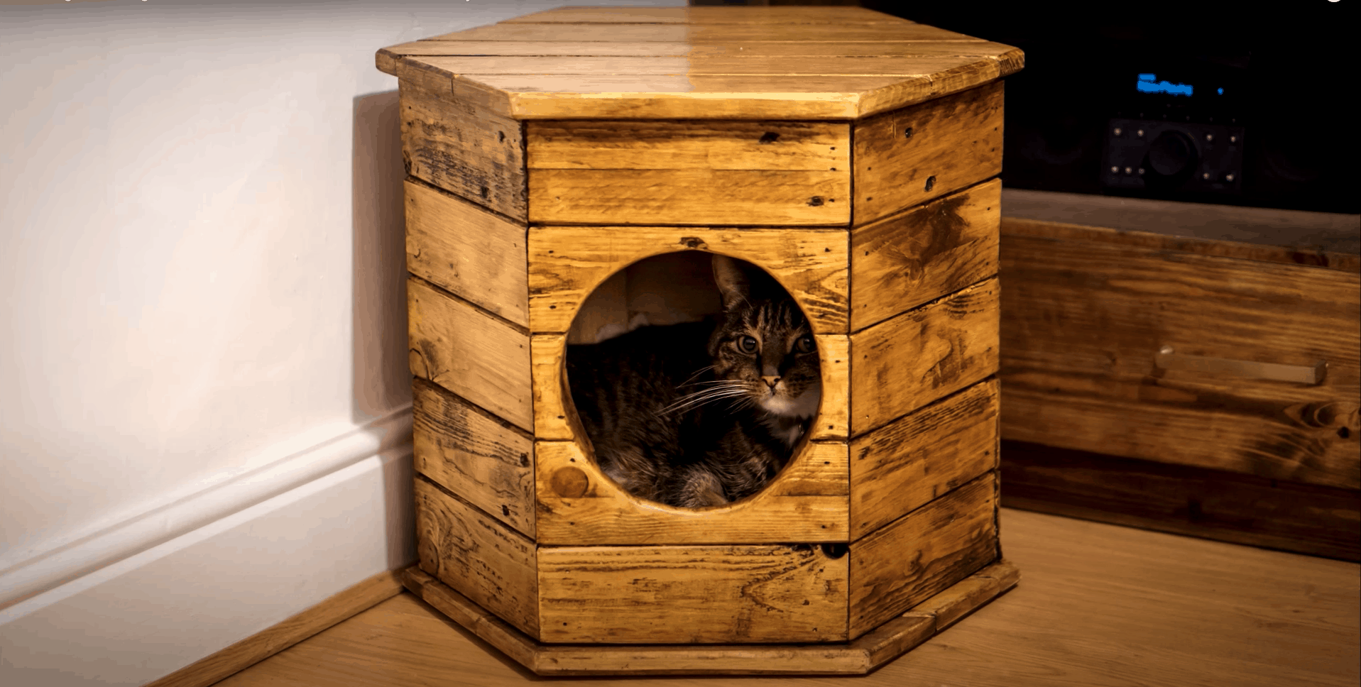 How to Build a DIY Cat House (Step-by-Step Guide)